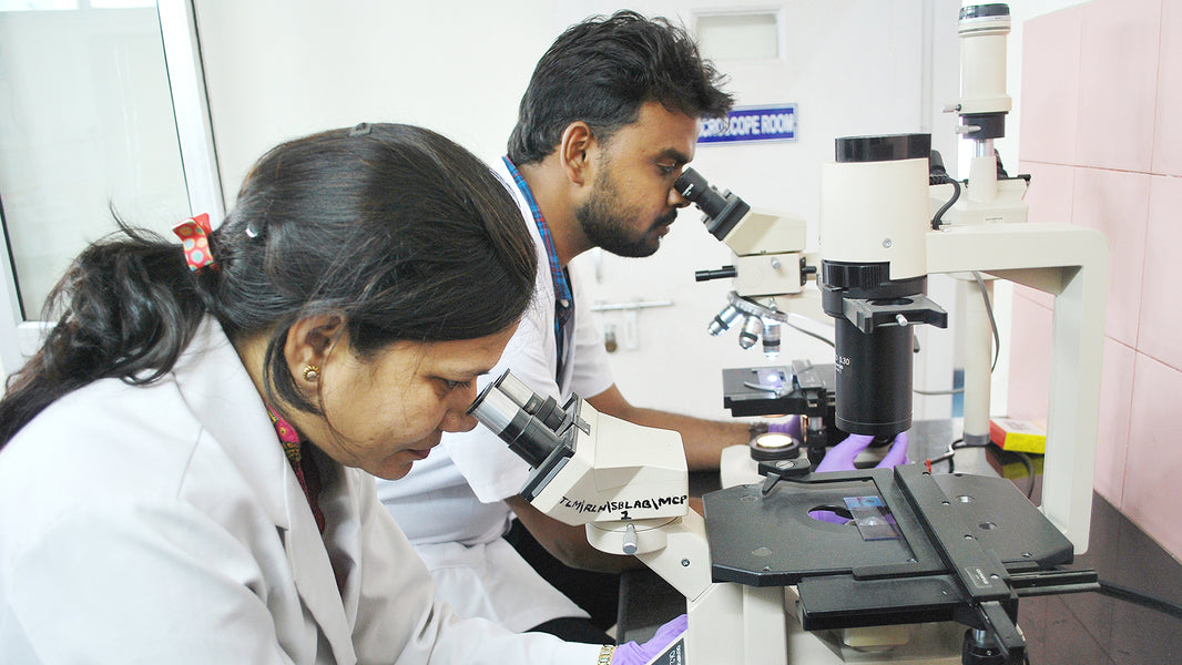 Easter Blessing Floral Fudge – The Leprosy Mission Shop